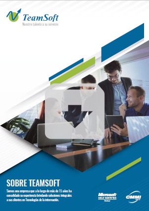 Teamsoft - Nosotros - Perú